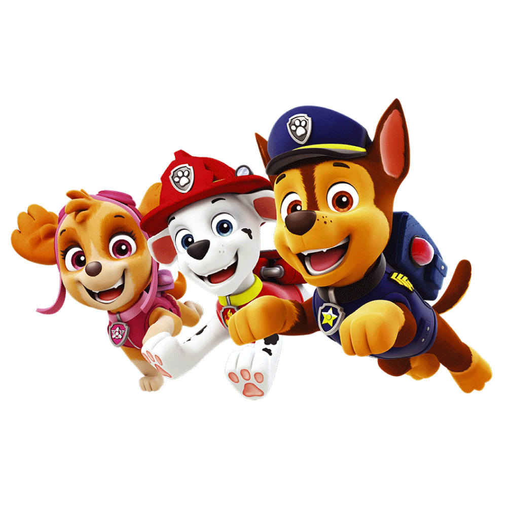 Paw Patrol – VAIS
